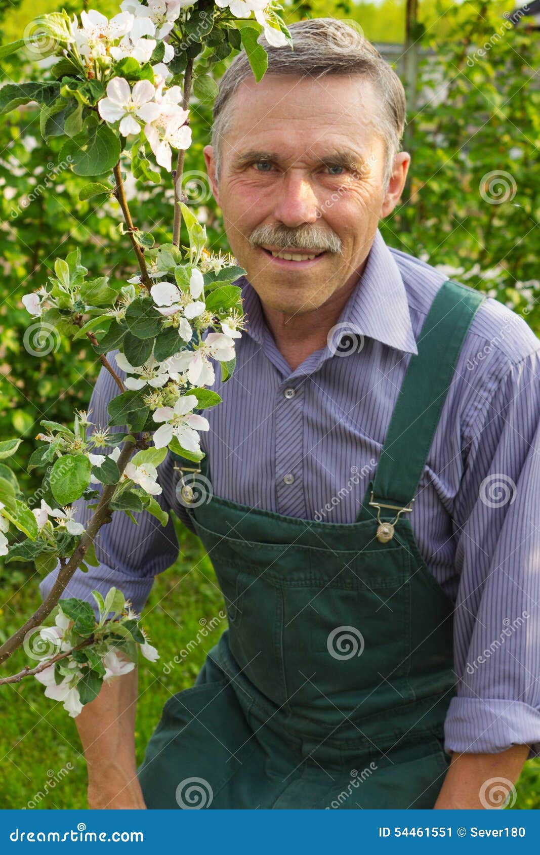 Man Advanced in Years in the Spring Garden Stock Image - Image of ...