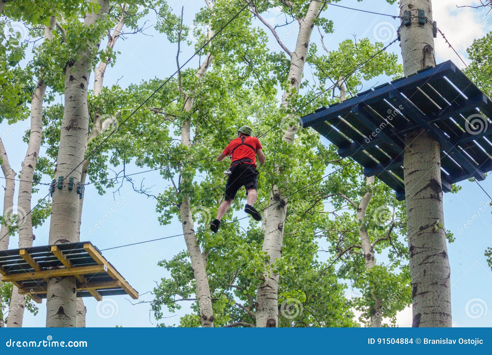 Man in Adventure Park on Tree Top Stock Photo - Image of play, height ...