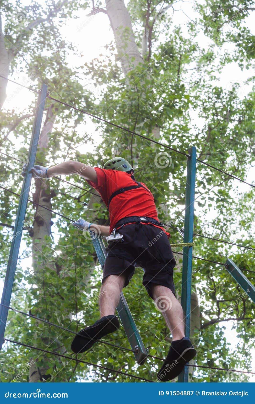 Man in Adventure Park on Tree Top Stock Image - Image of skill, high ...