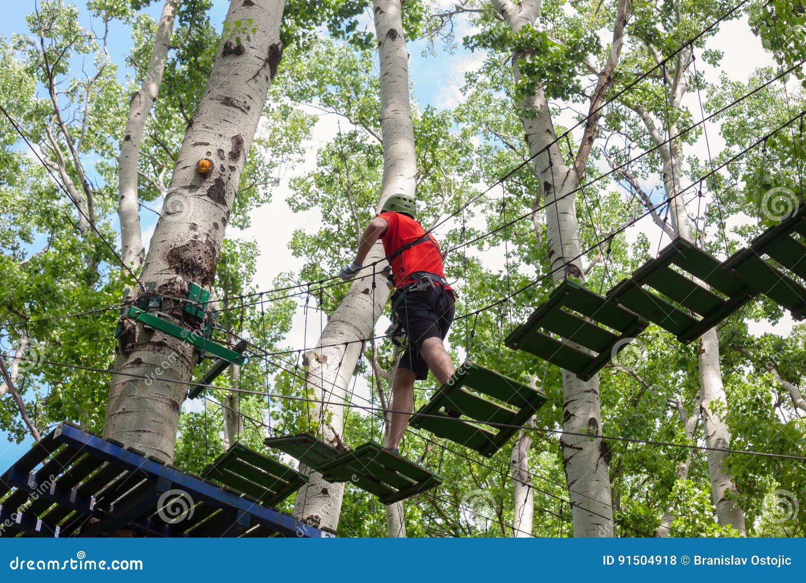 Man in Adventure Park on Tree Top Stock Photo - Image of leisure ...
