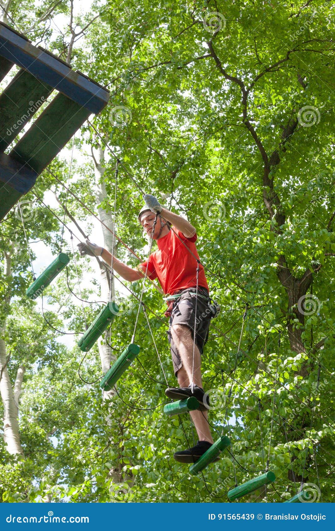 Man in Adventure Park on Tree Top Stock Image - Image of forest, play ...