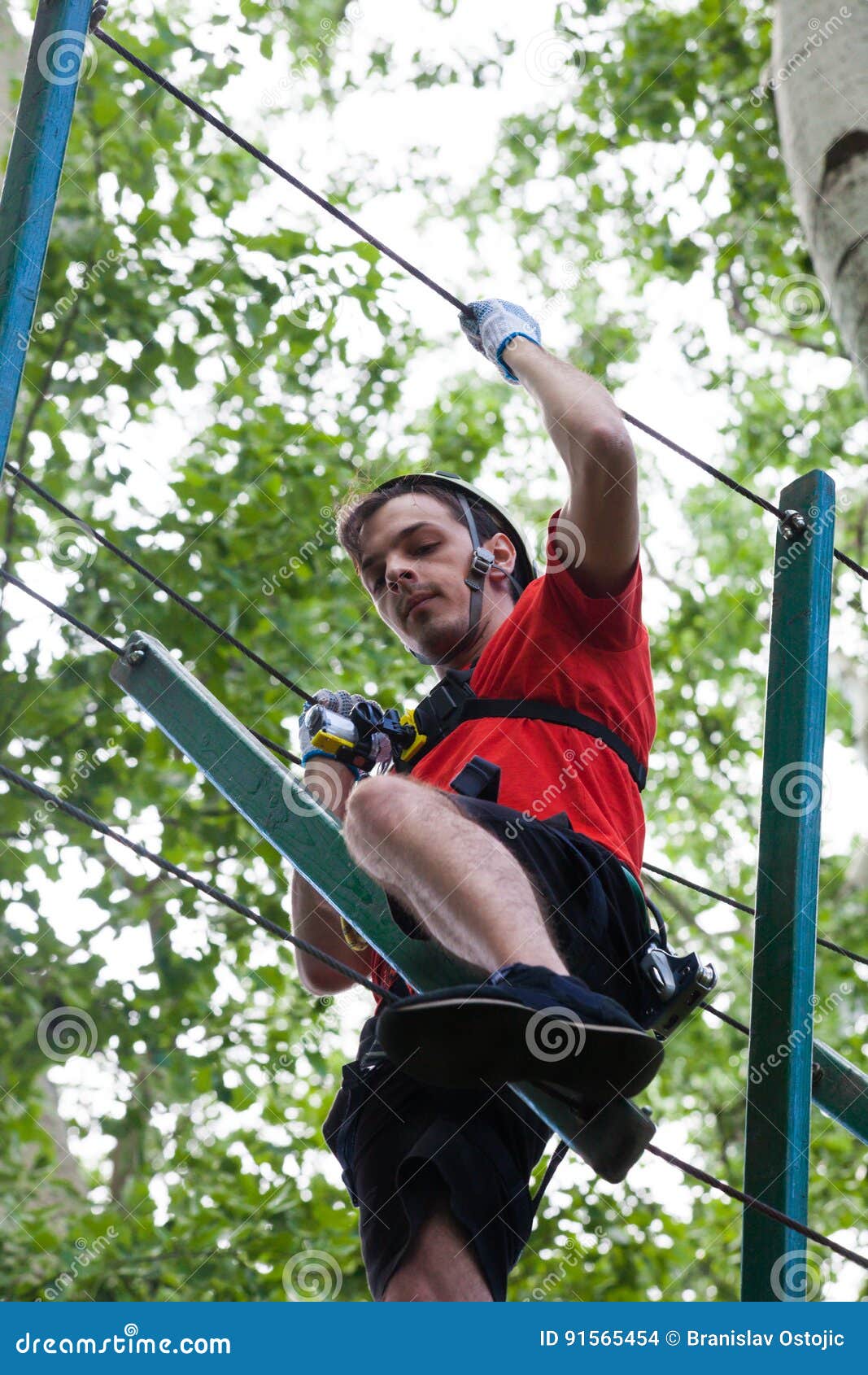 Man in Adventure Park on Tree Top Stock Photo - Image of obstacle ...