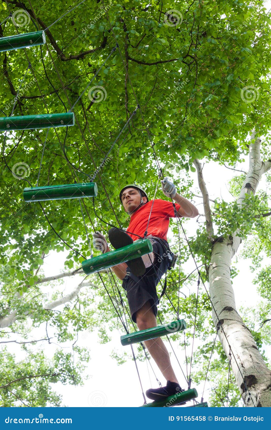 Man in Adventure Park on Tree Top Stock Photo - Image of forest ...