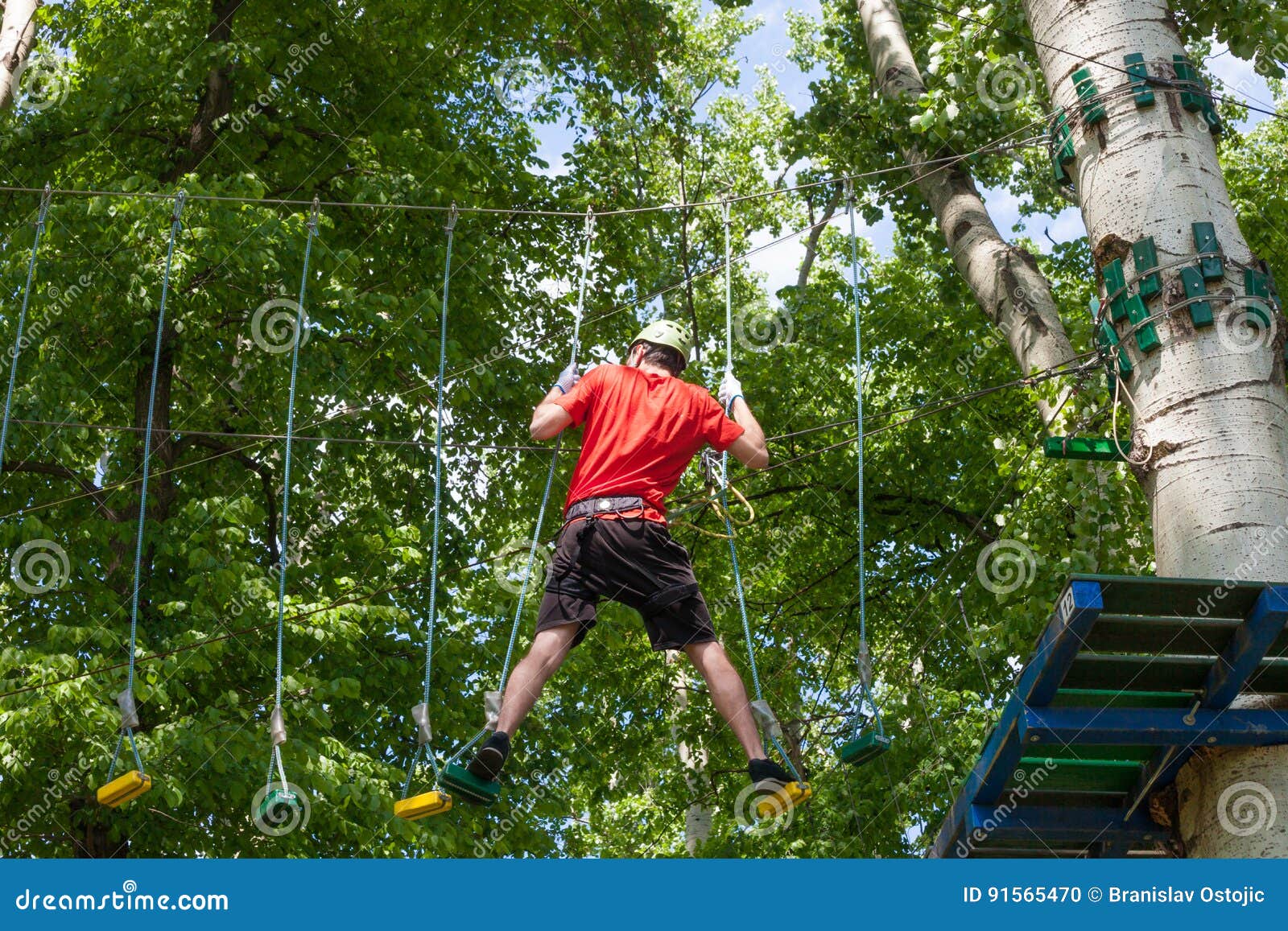 Man in Adventure Park on Tree Top Stock Photo - Image of forest, safety ...