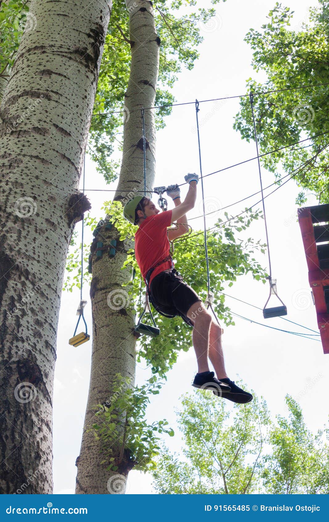 Man in Adventure Park on Tree Top Stock Image - Image of height, risk ...
