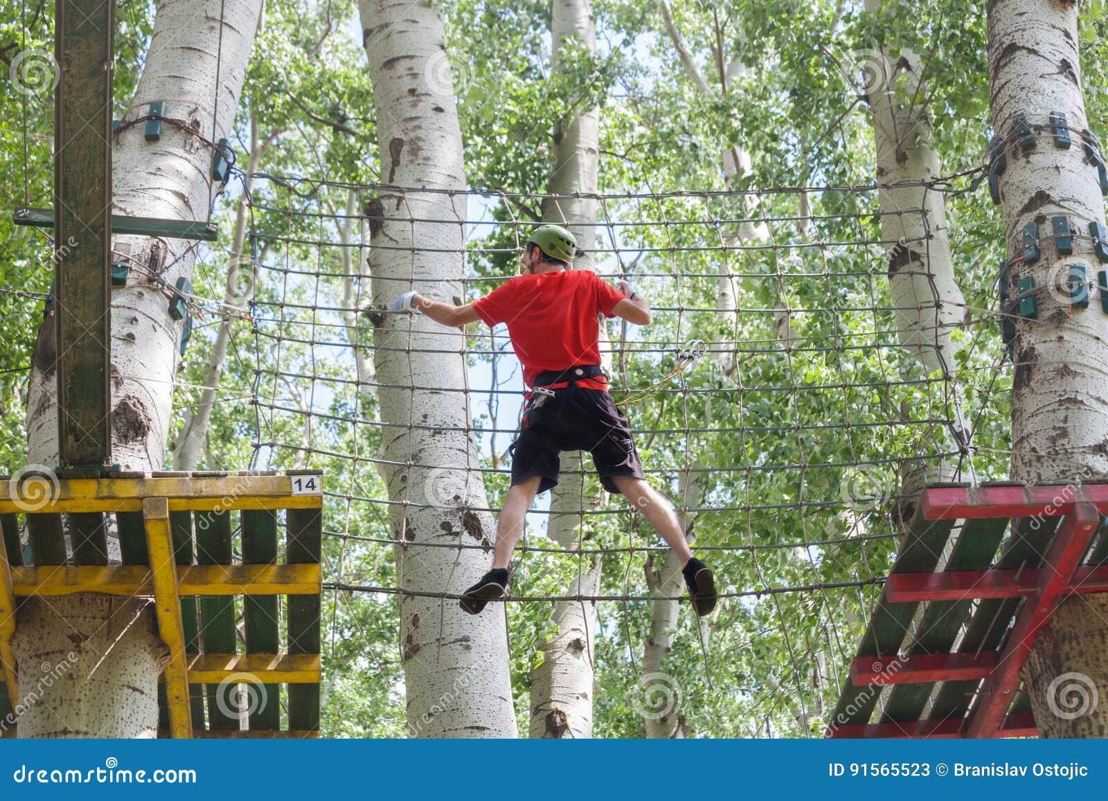 Man in Adventure Park on Tree Top Stock Image - Image of green, line ...