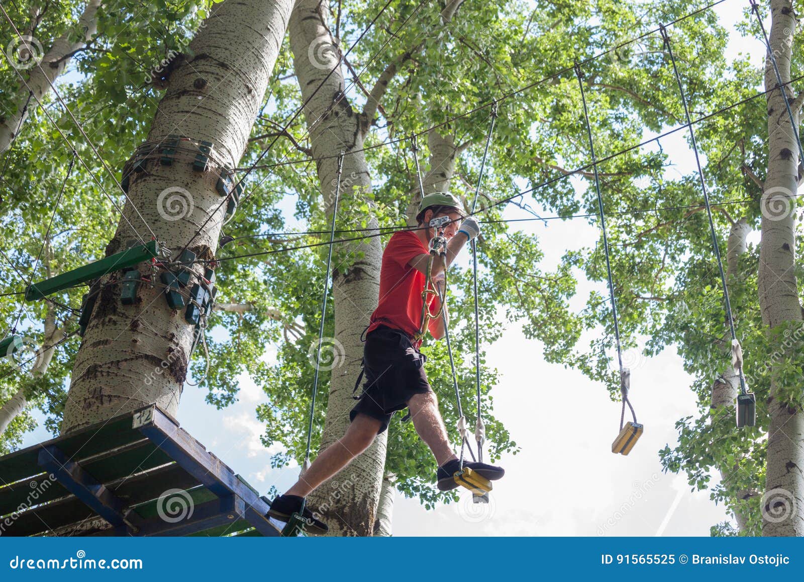 Man in Adventure Park on Tree Top Stock Image - Image of risk, safety ...