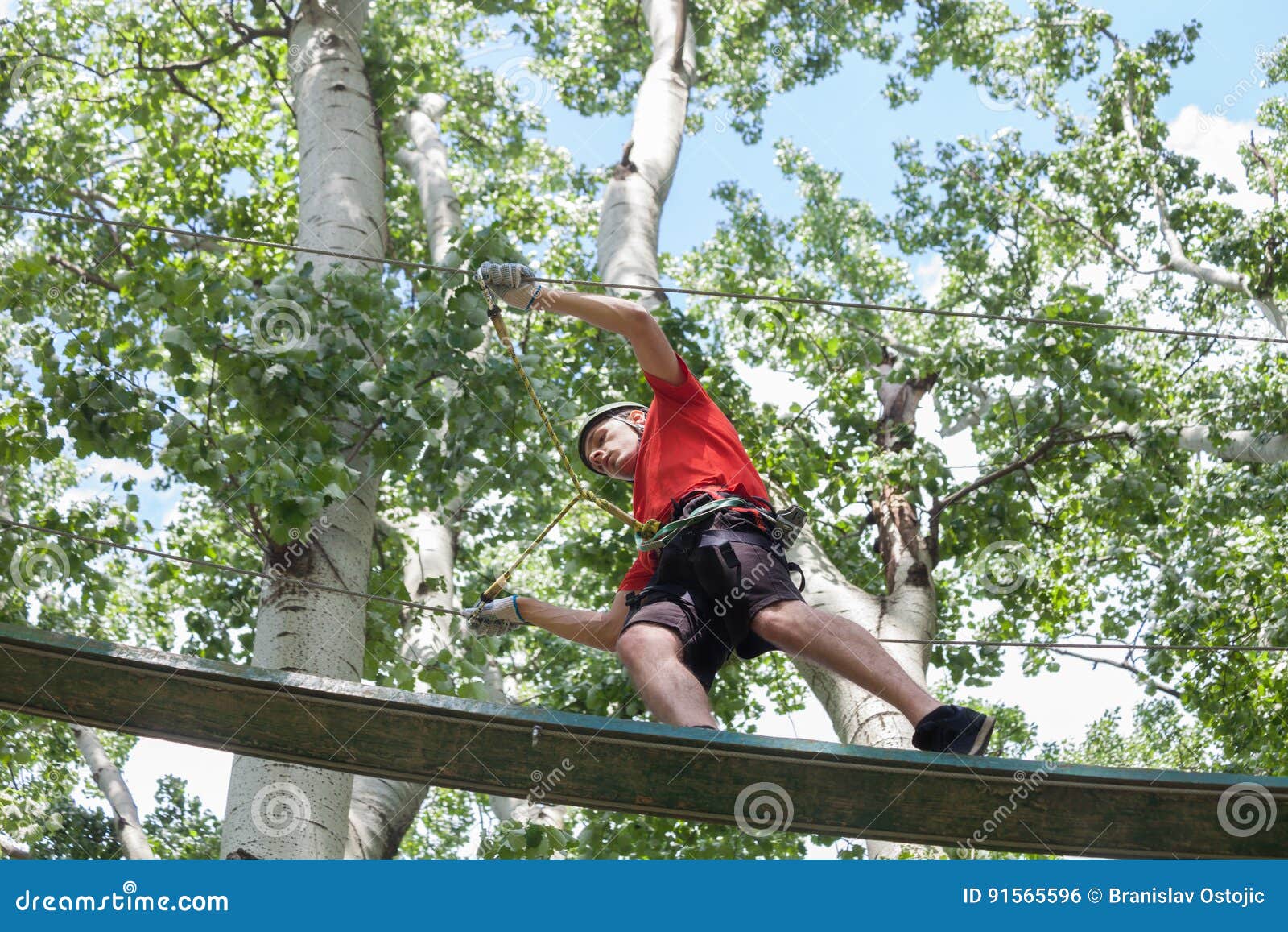 Man in Adventure Park on Tree Top Stock Photo - Image of play, height ...