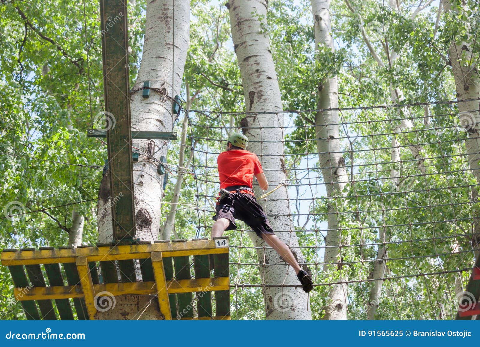 Man in Adventure Park on Tree Top Stock Image - Image of activity ...