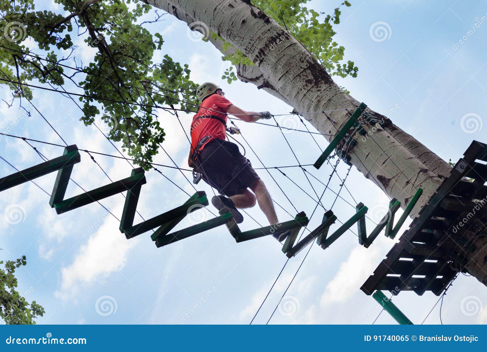 Man in Adventure Park on Tree Top Stock Image - Image of challenge ...