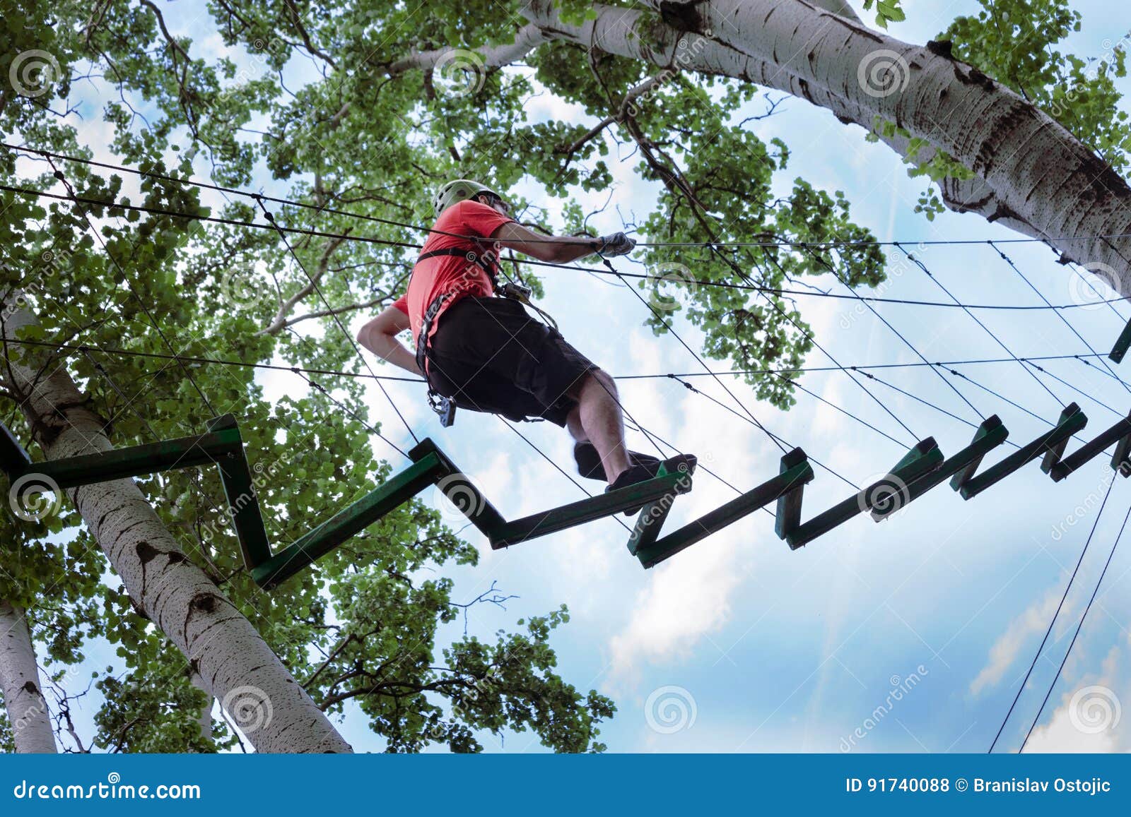Man in Adventure Park on Tree Top Stock Photo - Image of line, play ...
