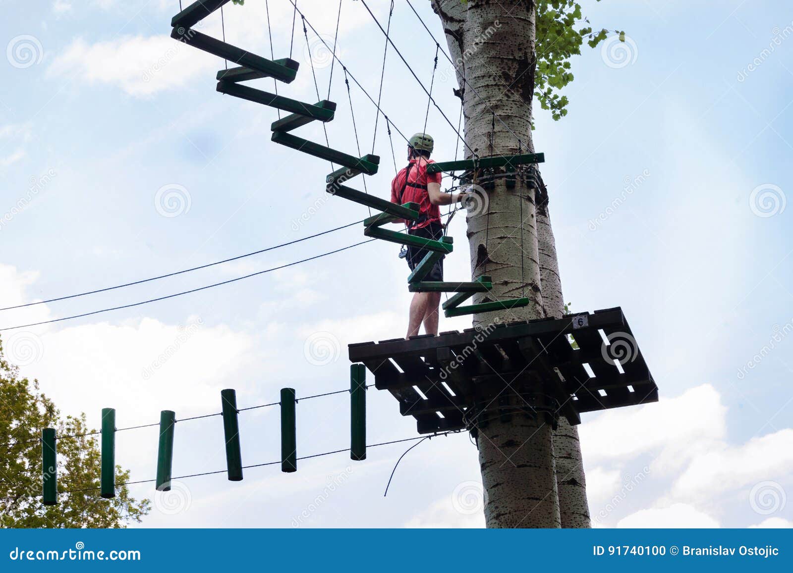 Man in Adventure Park on Tree Top Stock Photo - Image of skill ...