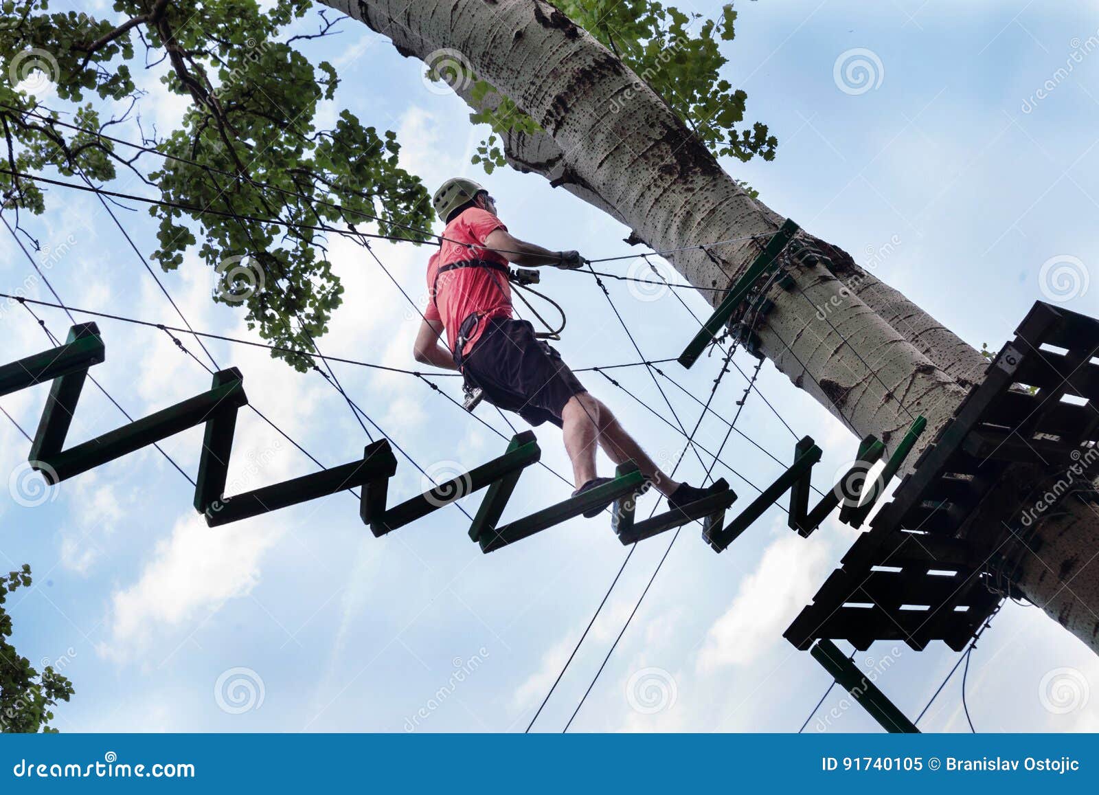 Man in Adventure Park on Tree Top Stock Image - Image of freedom, brave ...