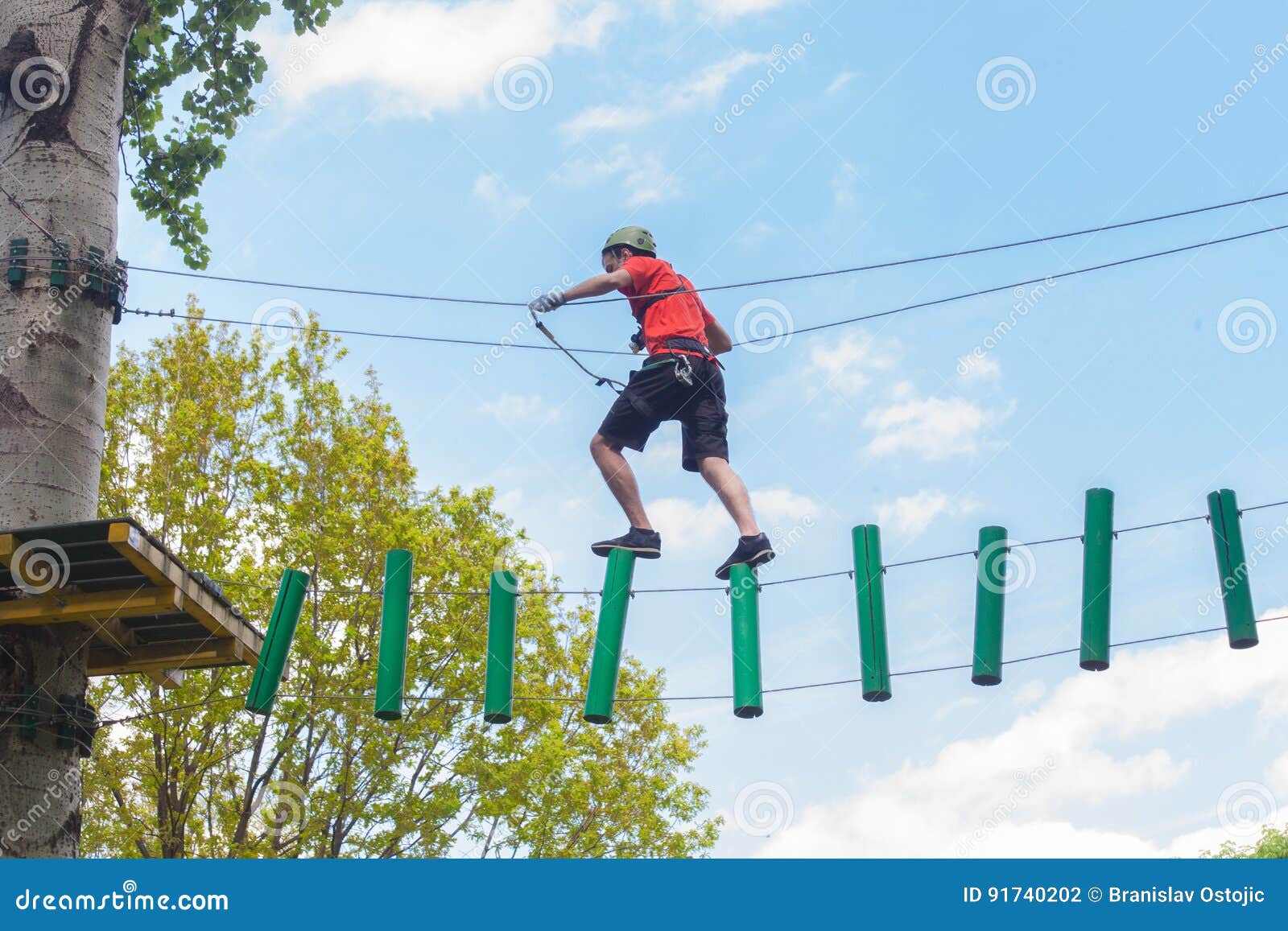 Man in Adventure Park on Tree Top Stock Photo - Image of forest ...