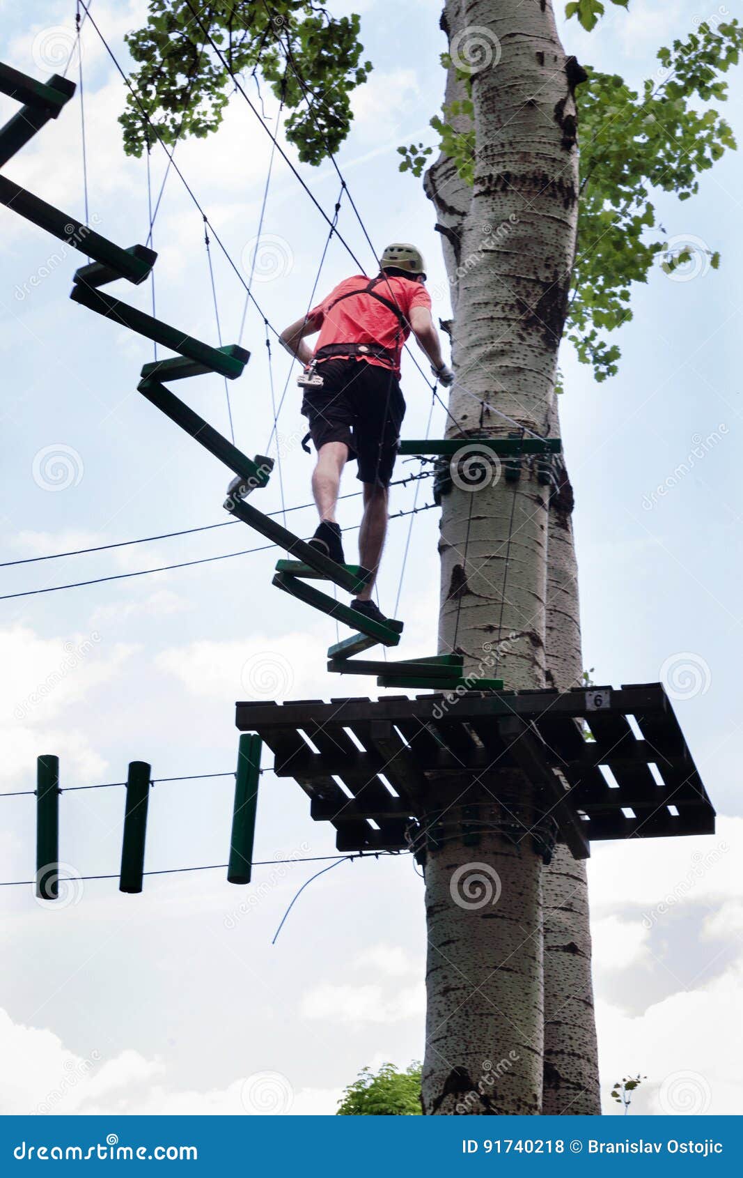 Man in Adventure Park on Tree Top Stock Photo - Image of park, nature ...