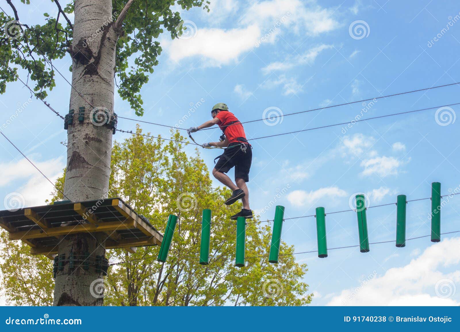 Man in Adventure Park on Tree Top Stock Photo - Image of freedom ...