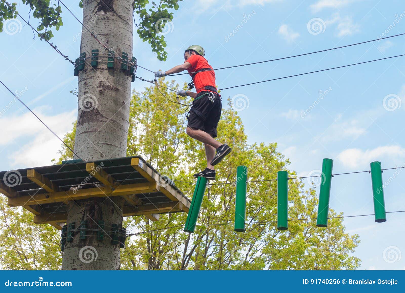 Man in Adventure Park on Tree Top Stock Photo - Image of brave ...