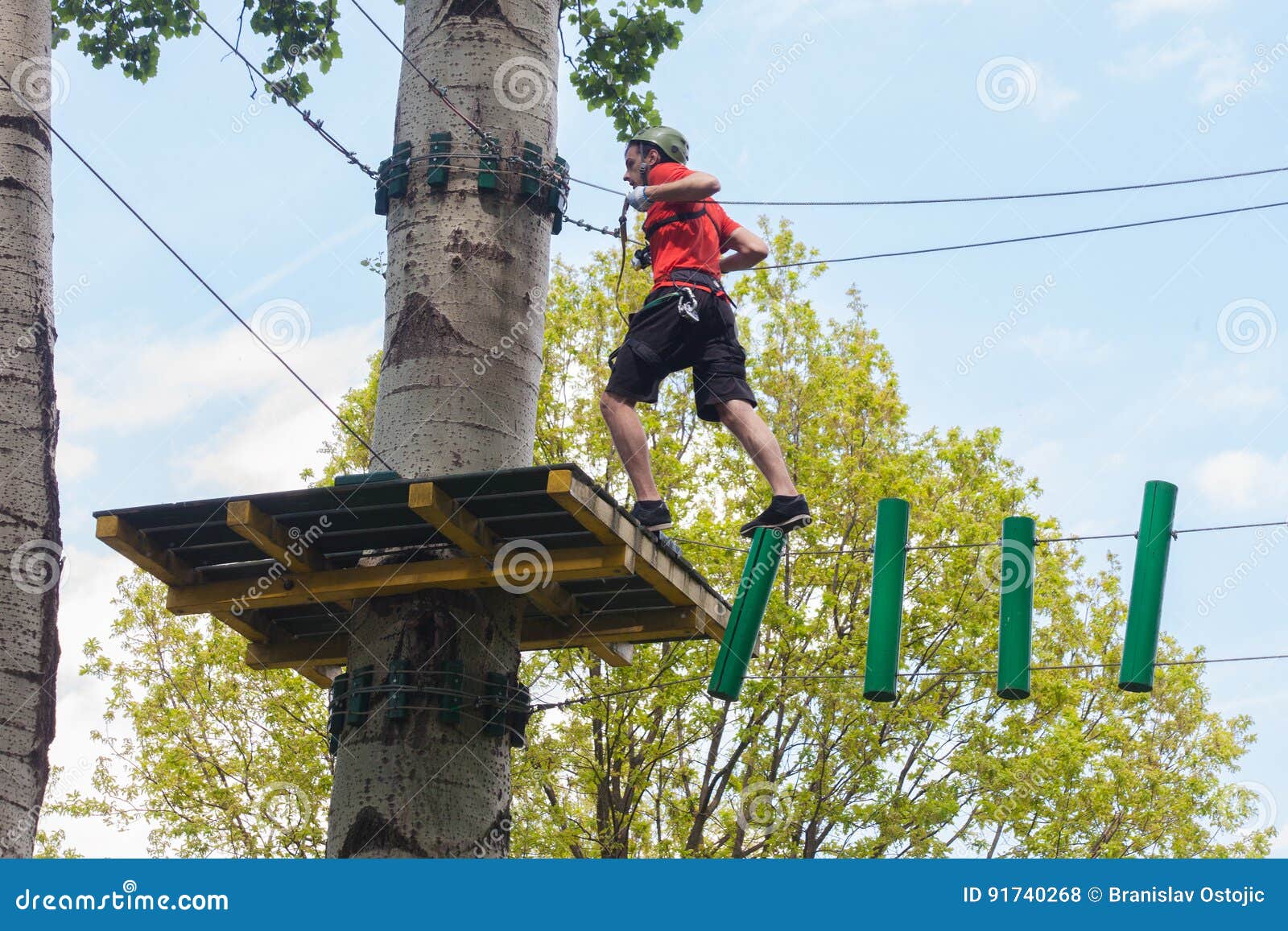 Man in Adventure Park on Tree Top Stock Photo - Image of ropes, brave ...