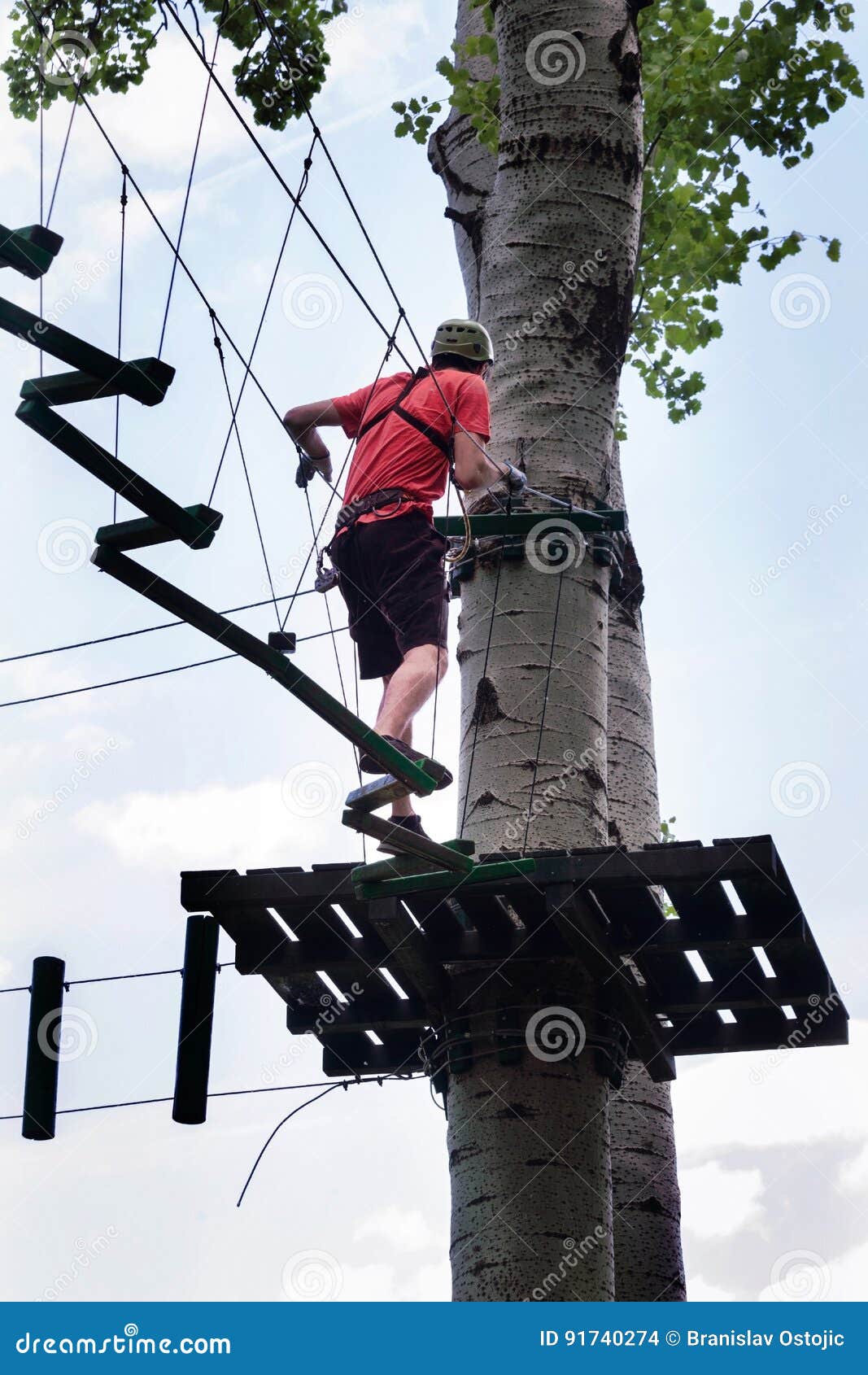 Man in Adventure Park on Tree Top Stock Photo - Image of climb, rope ...