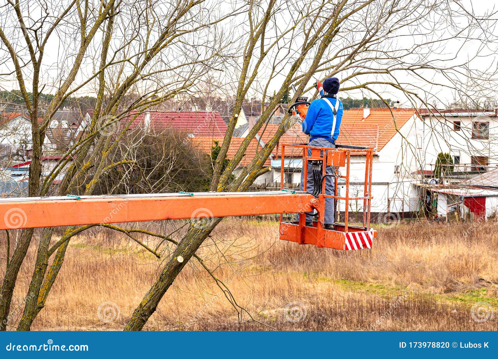 Man on Aerial Platform Pruning Branches of Tree with Chainsaw Stock ...
