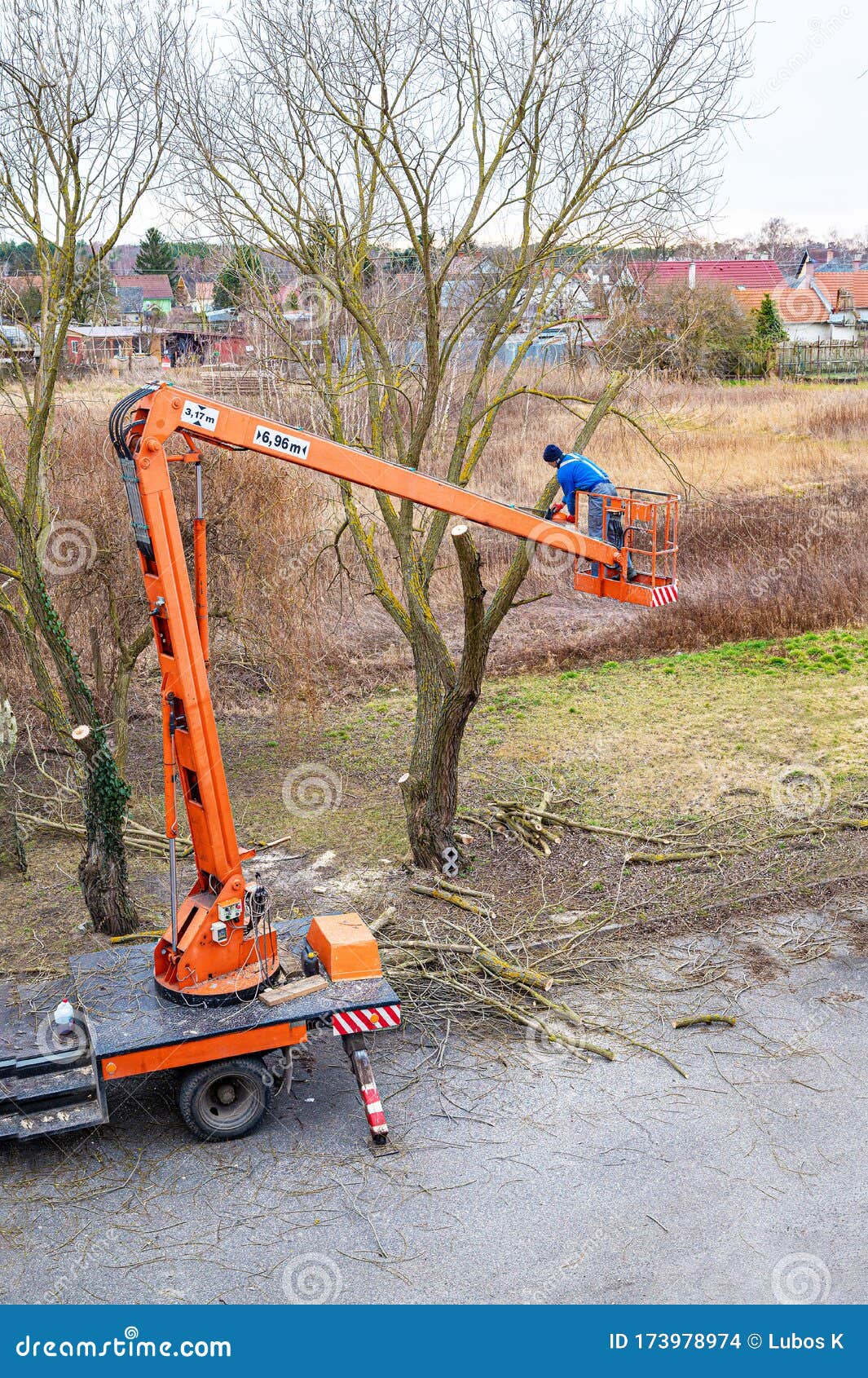Man on Aerial Platform Pruning Branches of Tree with Chainsaw Stock ...