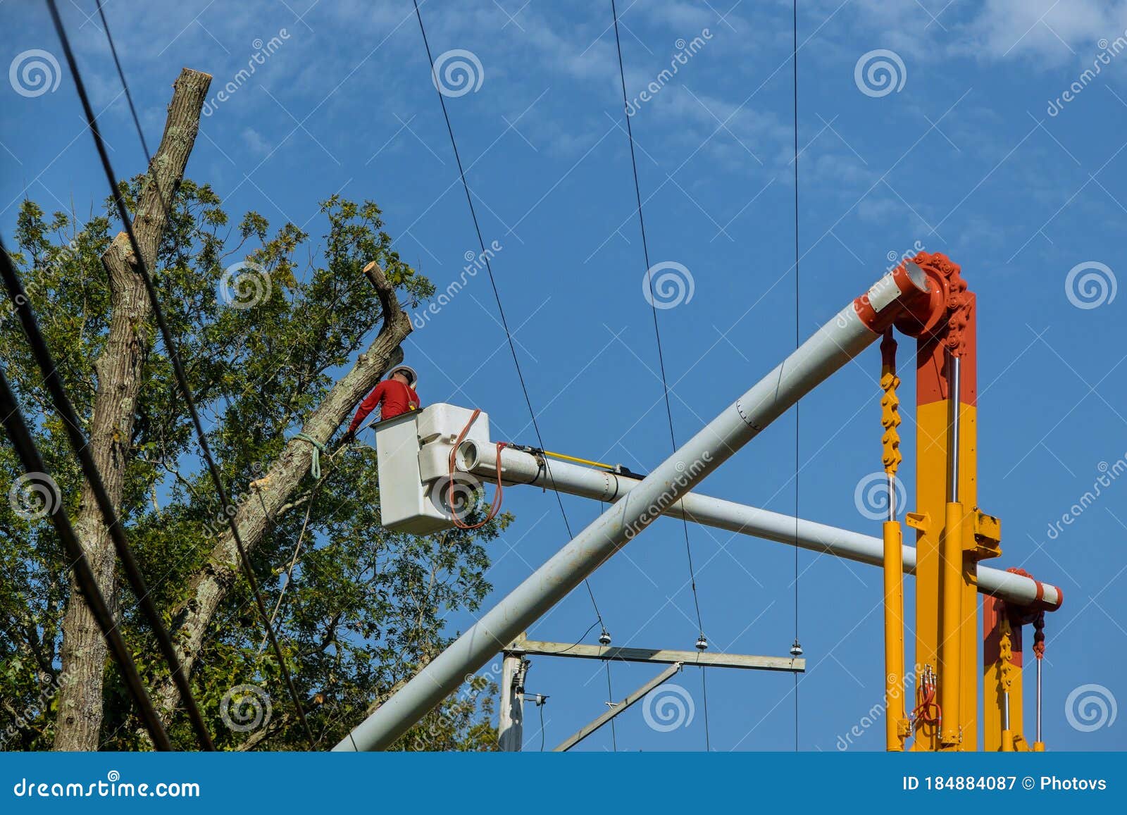 A Man in the Aerial Platform Pruning Branches of Tree with Chainsaw of ...