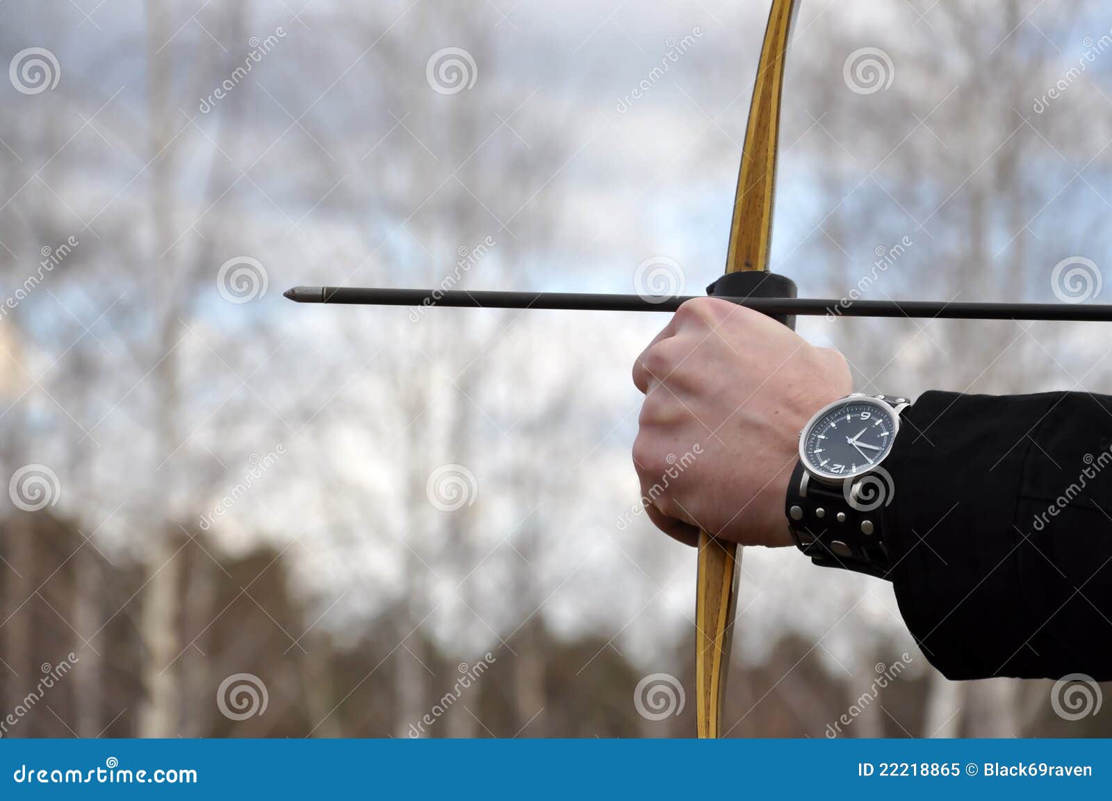 Man aiming an arrow stock image. Image of brush, focused - 22218865