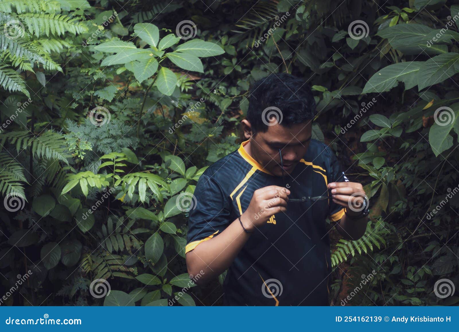 A Man, Alone in a Lush Forest Stock Image - Image of park, forest ...