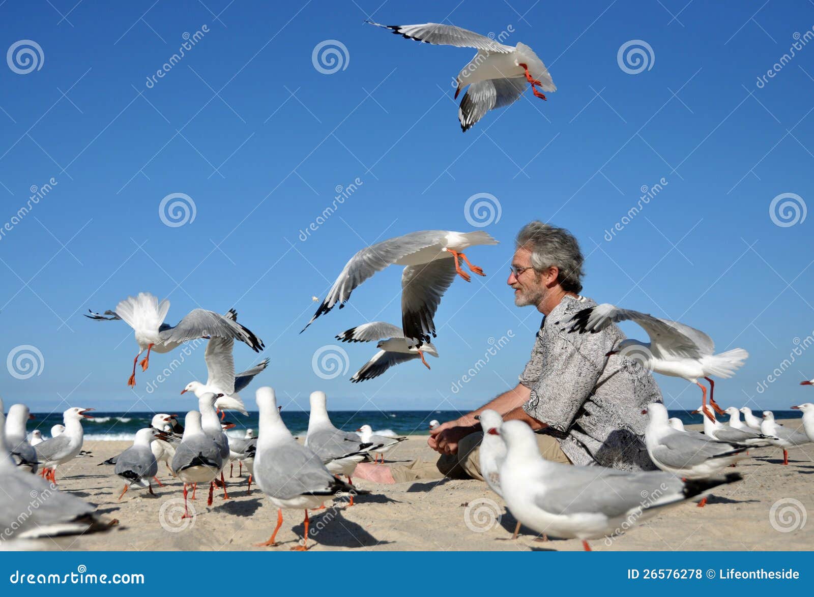 Man Alone on White Sand Beach Feeding Birds Stock Photo - Image of ...