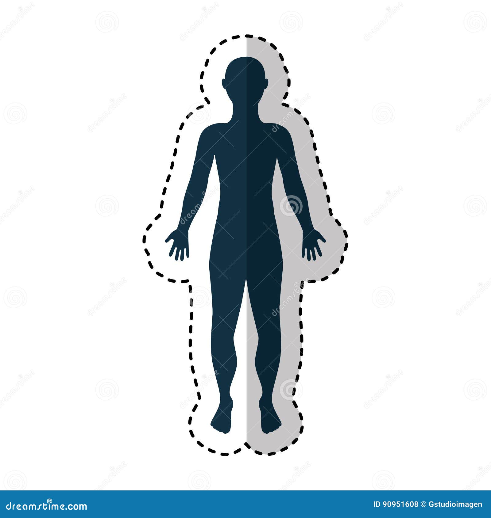 Man Anatomy Silhouette Isolated Icon Stock Vector - Illustration of ...