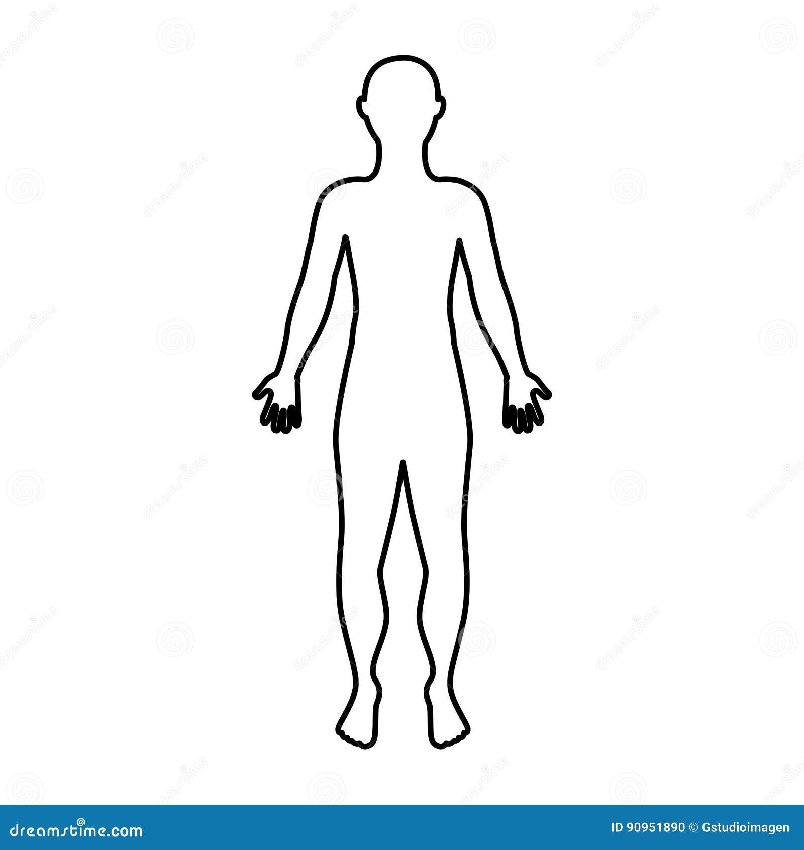 Man Anatomy Silhouette Isolated Icon Stock Vector - Illustration of ...