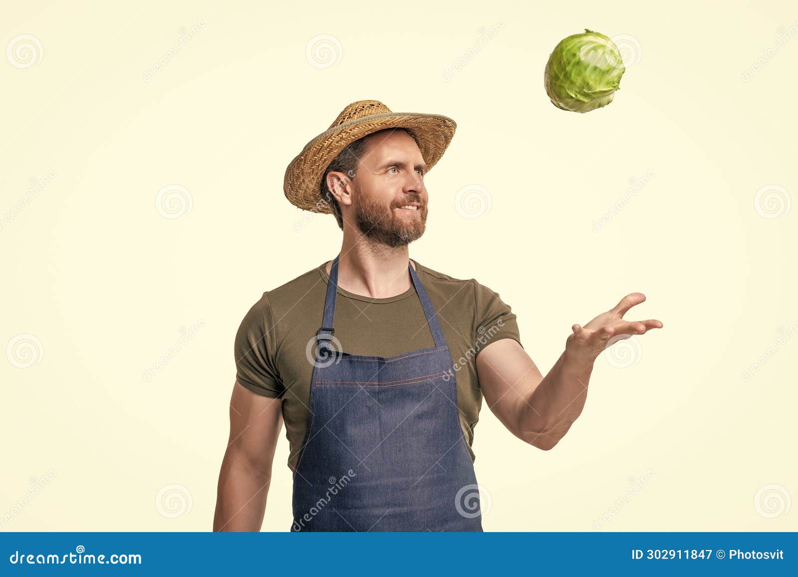 Man in Apron and Hat with Harvested Cabbage Vegetable Isolated on White ...