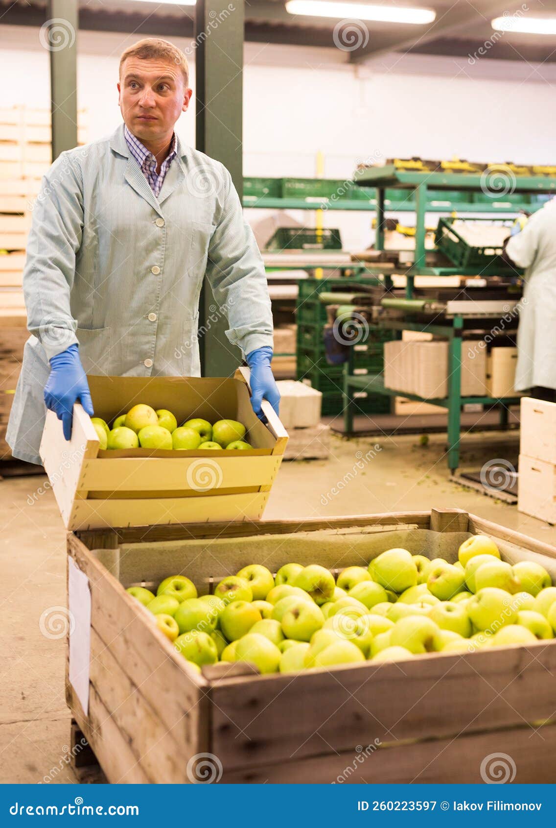 Man Arranges Boxes with Apples at Factory Stock Image - Image of apple ...