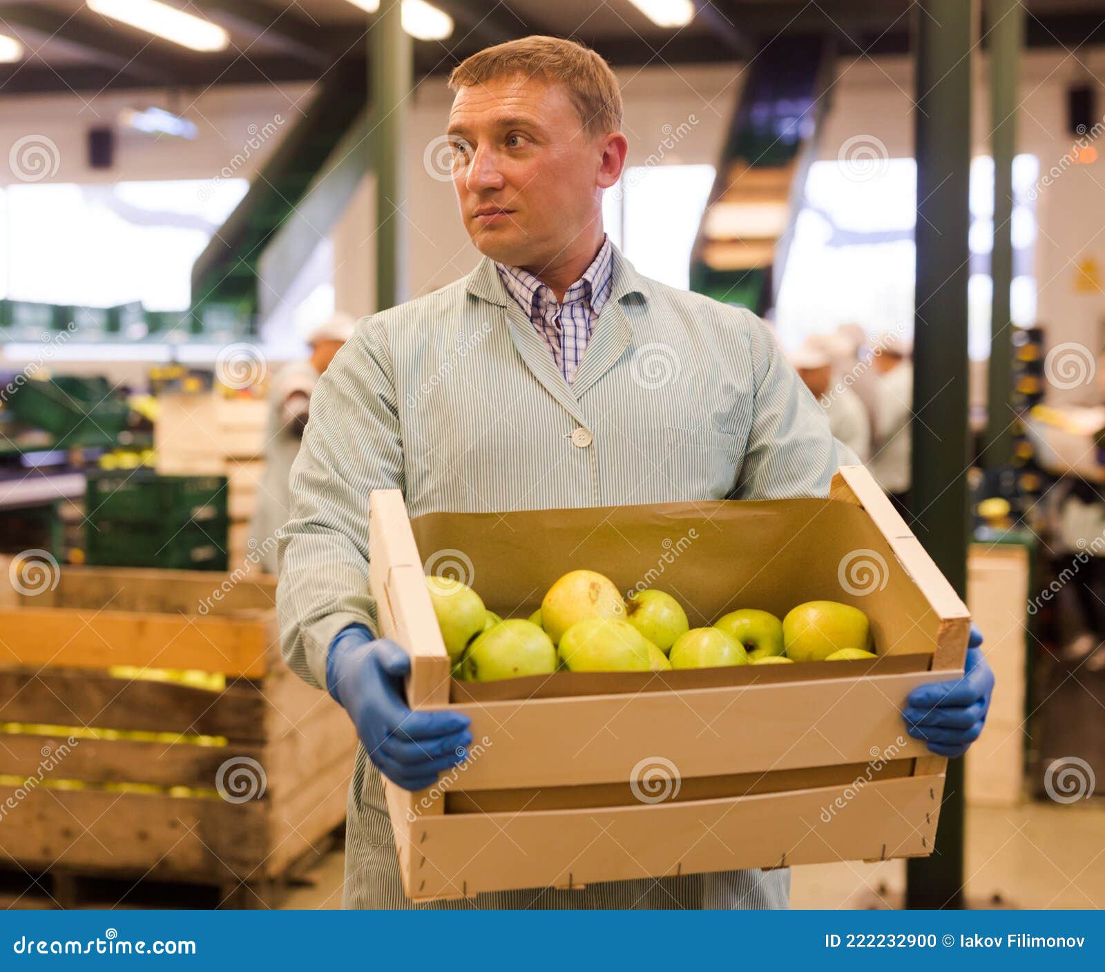 Man Arranges Boxes with Apples at Factory Stock Photo - Image of farm ...
