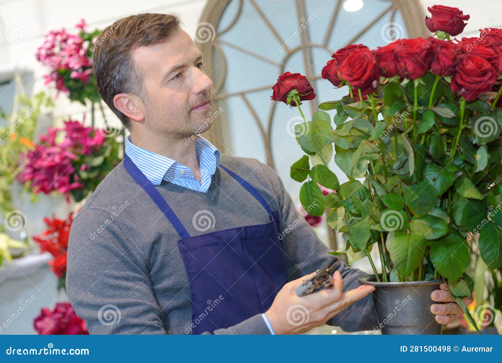 Man arranging roses stock photo. Image of variety, plant - 281500498