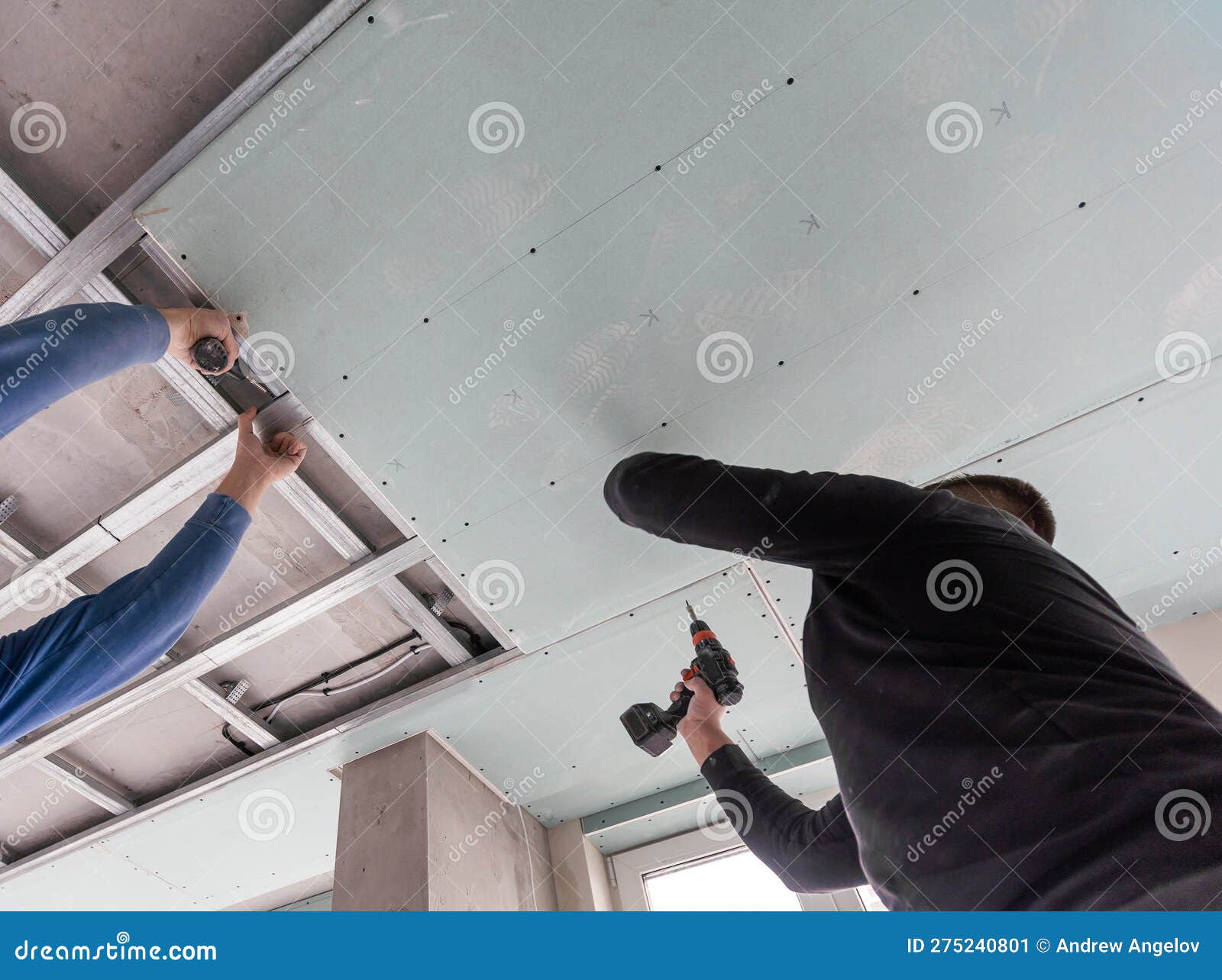 Man Assembles Profile Metal Frame for Plasterboard Ceilings Stock Image ...