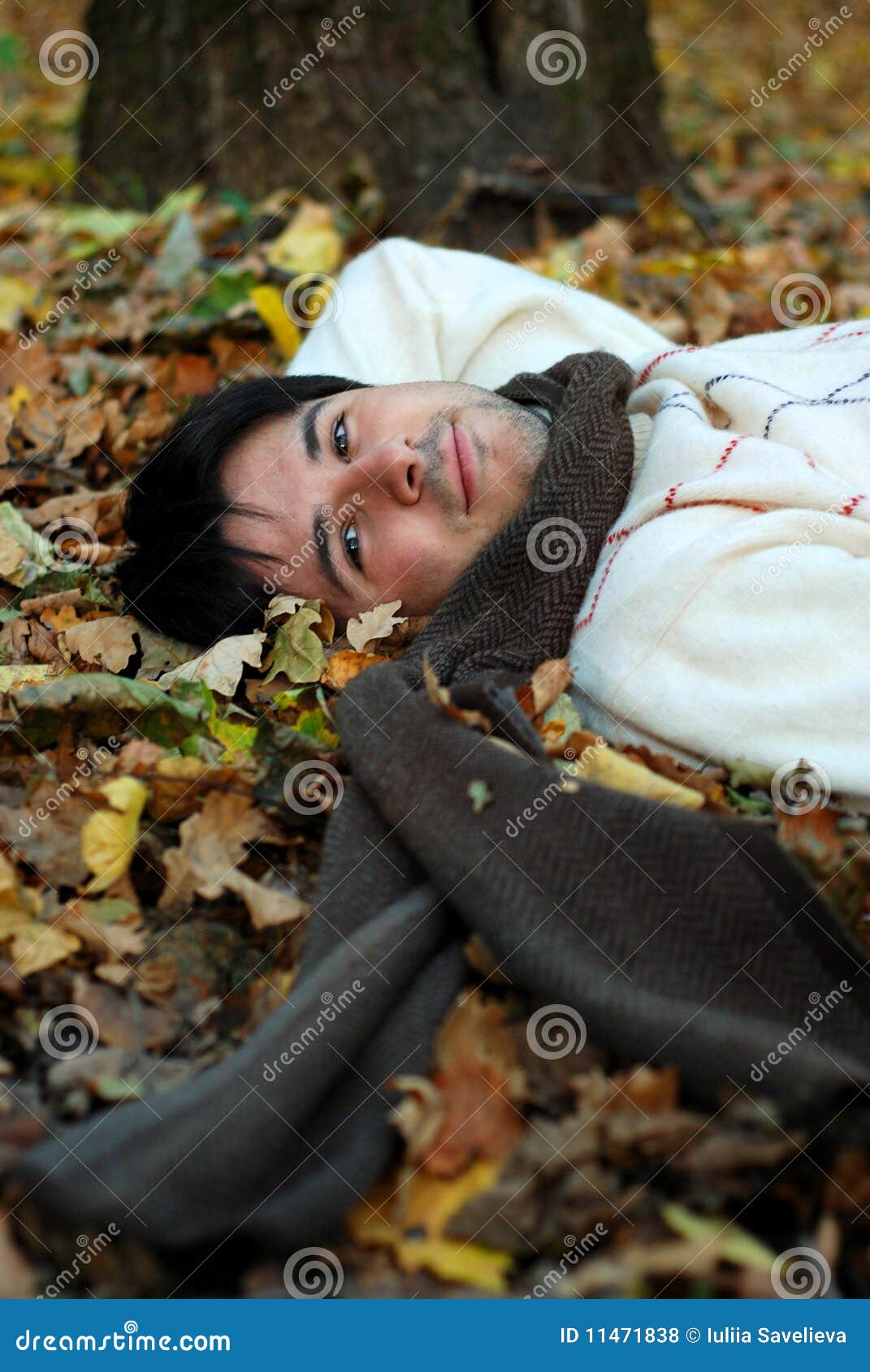 Man on autumn leaves stock photo. Image of adult, portrait - 11471838