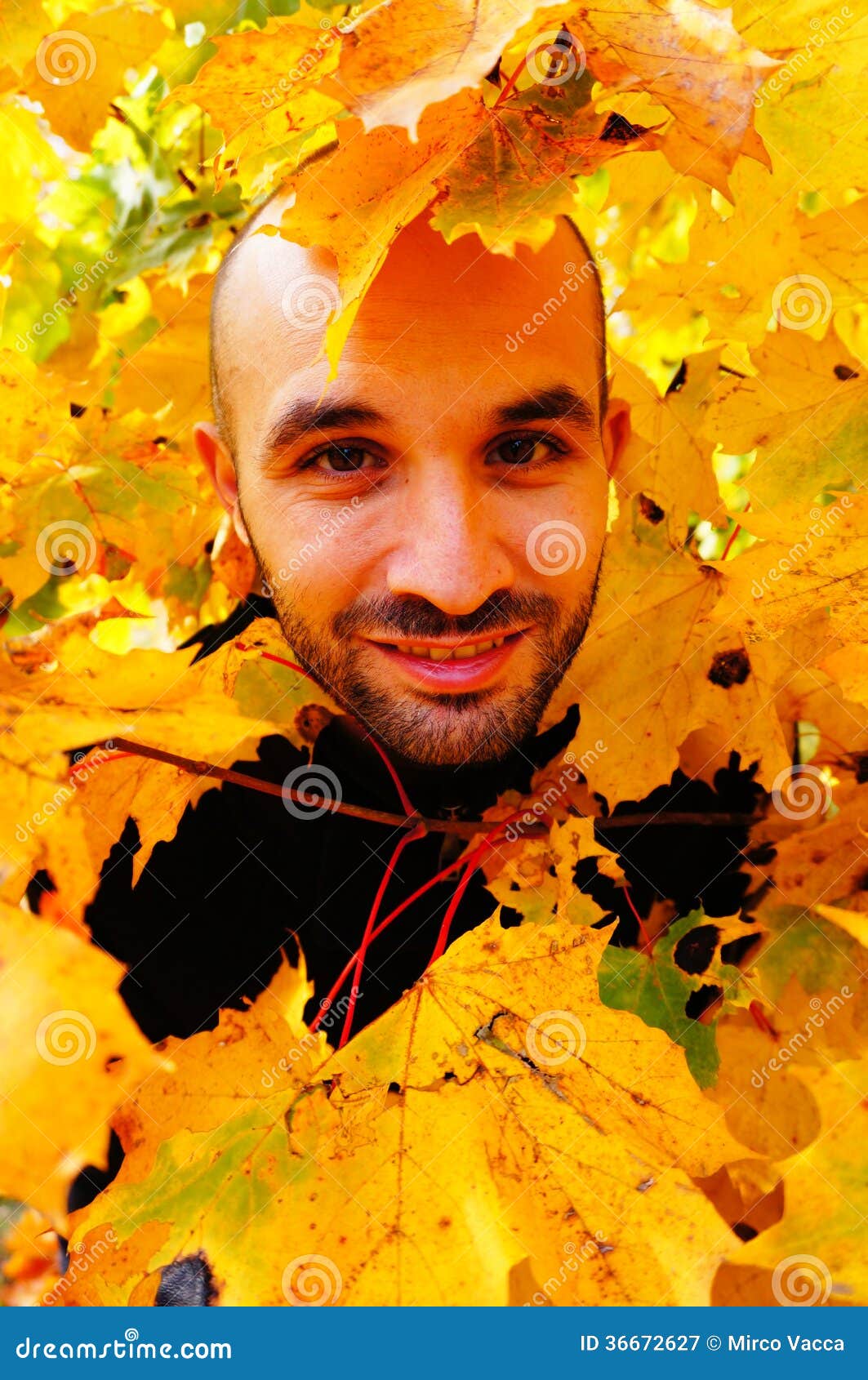 Man in the autumn stock image. Image of season, nature - 36672627