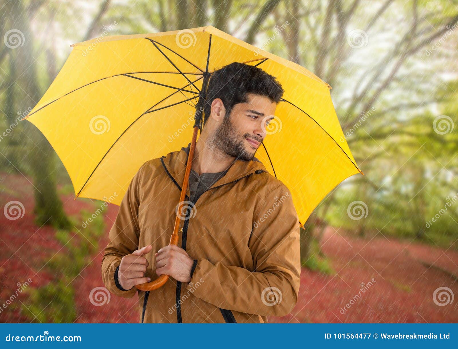 Man in Autumn with Umbrella in Forest Stock Image - Image of adult ...