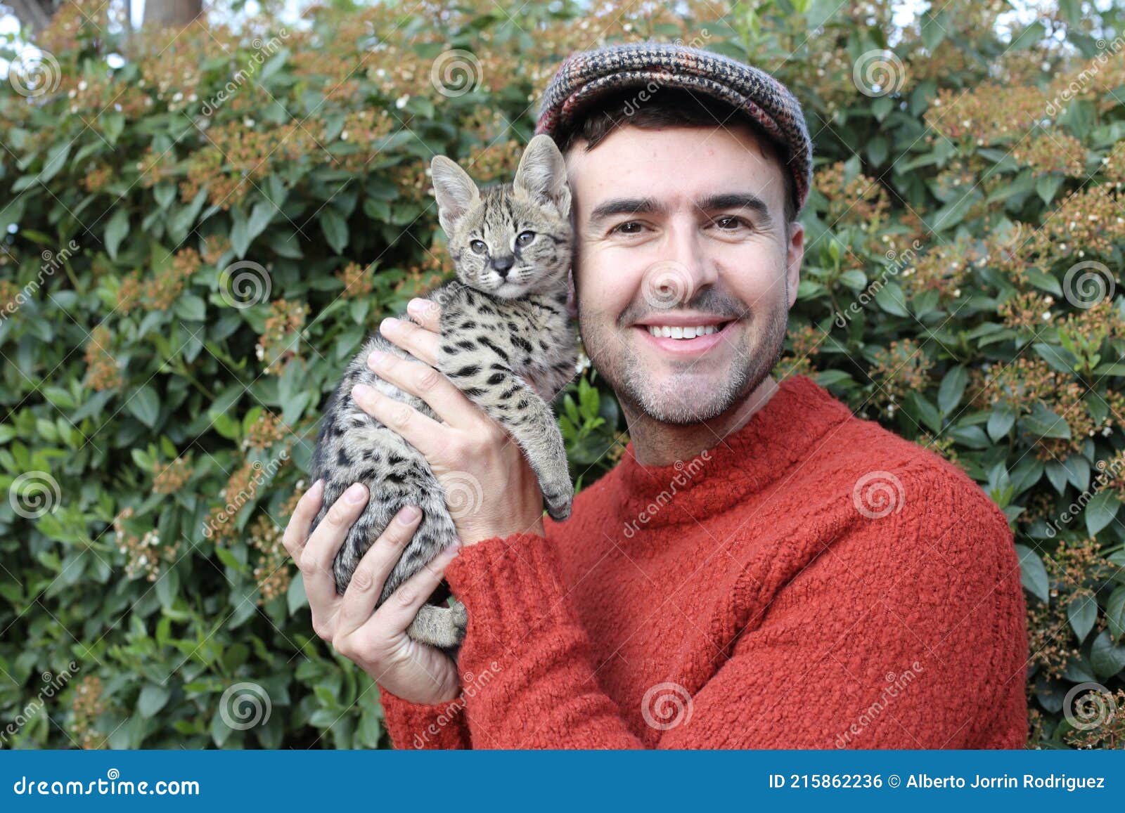 Man with baby serval cat stock photo. Image of love - 215862236