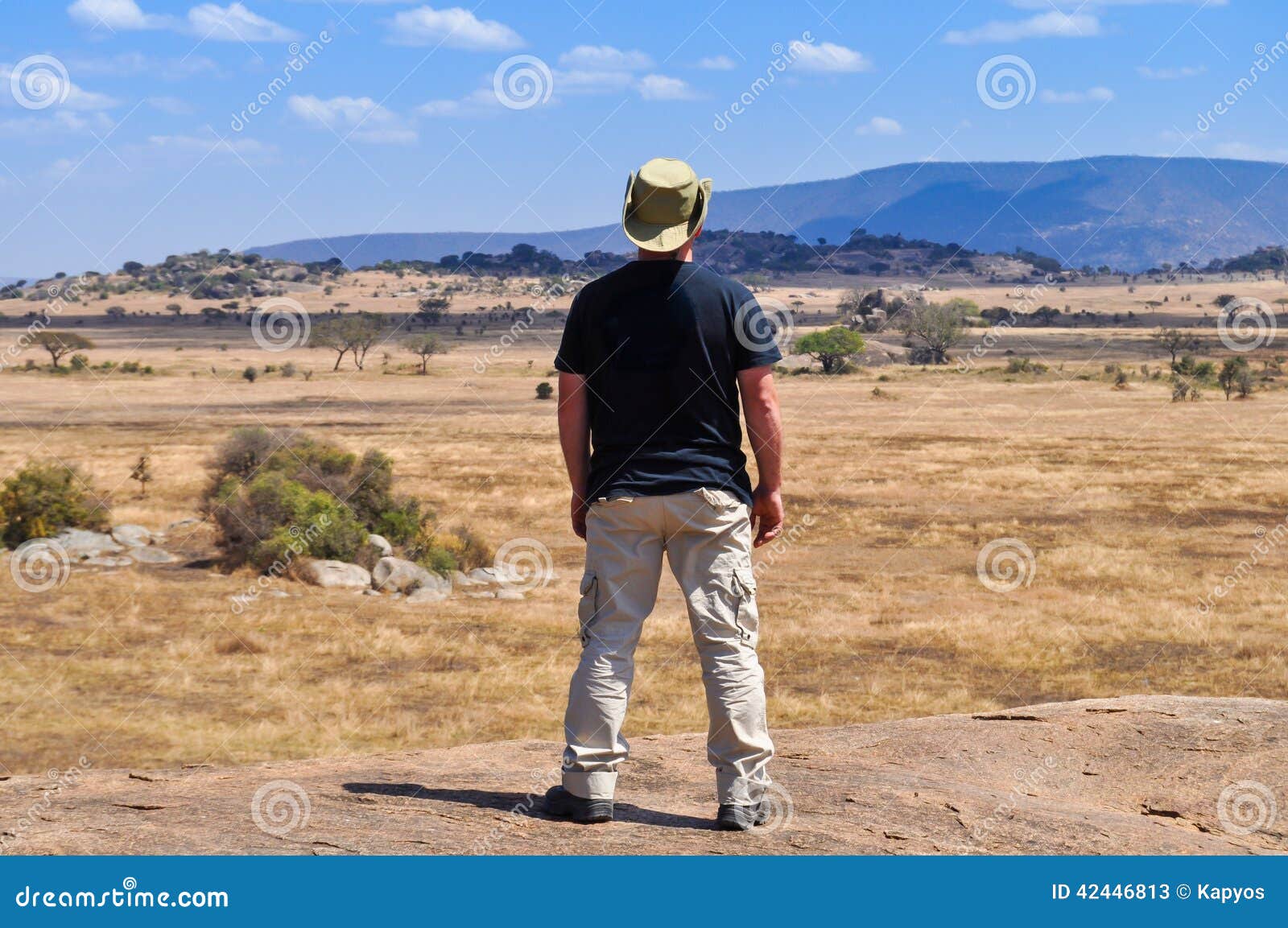 Man Back Looking at the Horizon Stock Image - Image of horizon, nature ...