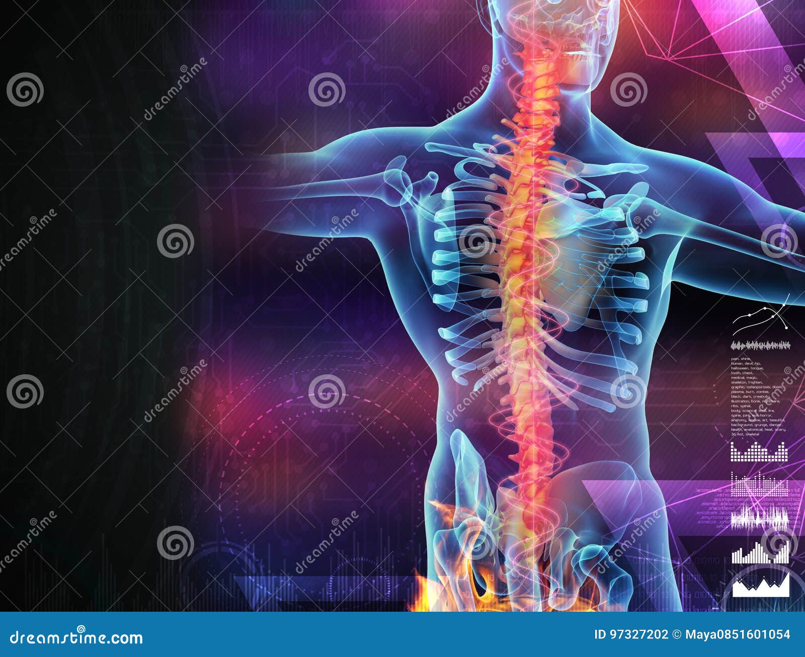 Man with the backbone stock illustration. Illustration of torso - 97327202