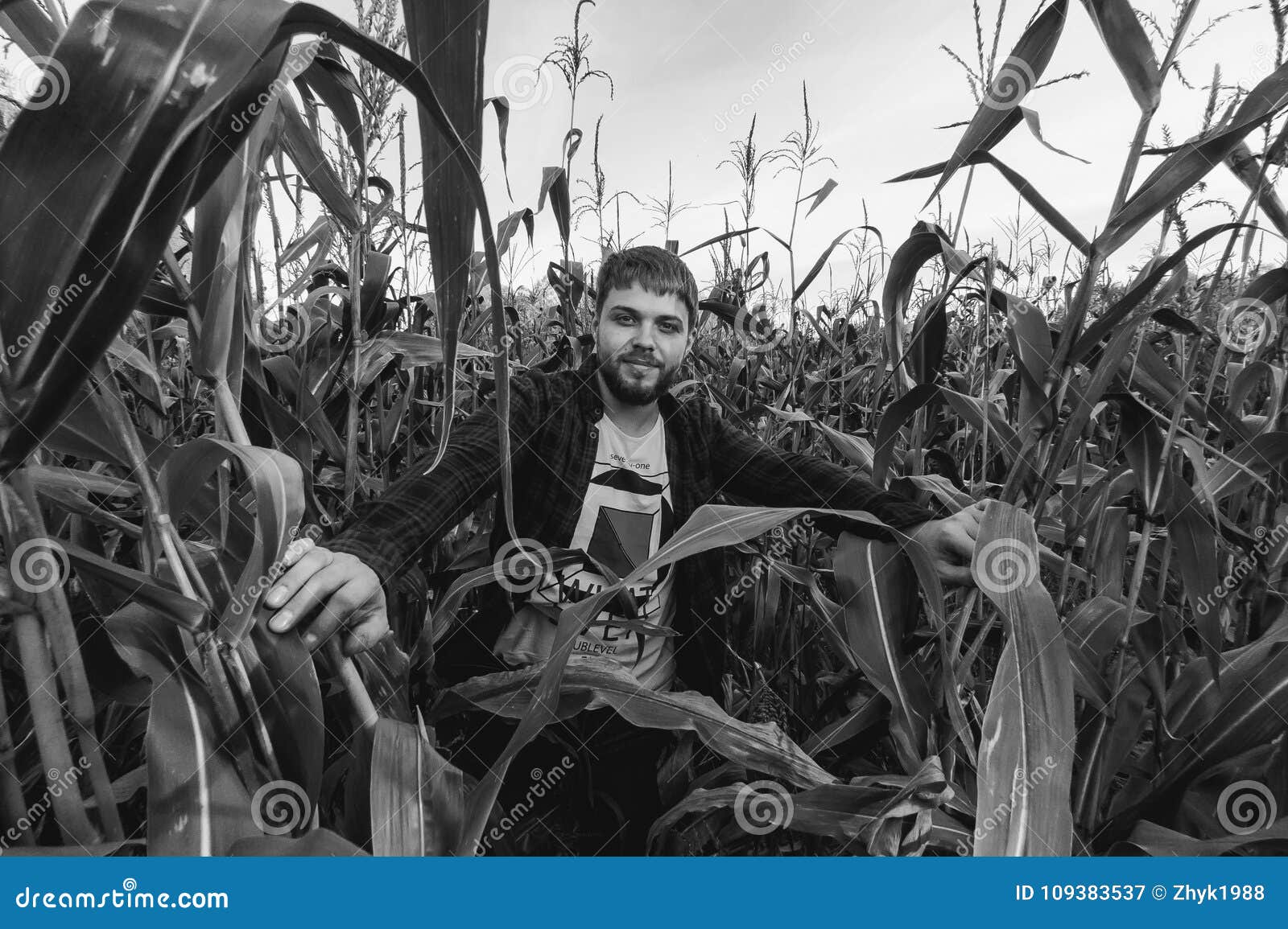 Man on a Background of Landscape Fields Stock Image - Image of crop ...