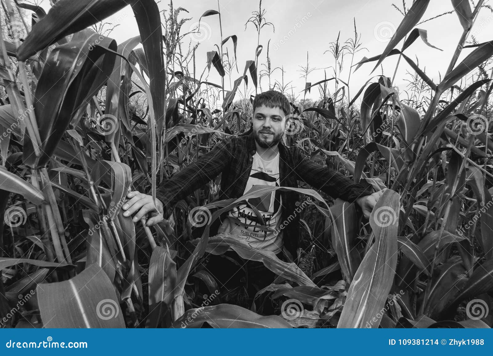 Man on a Background of Landscape Fields, in Corn Stock Photo - Image of ...