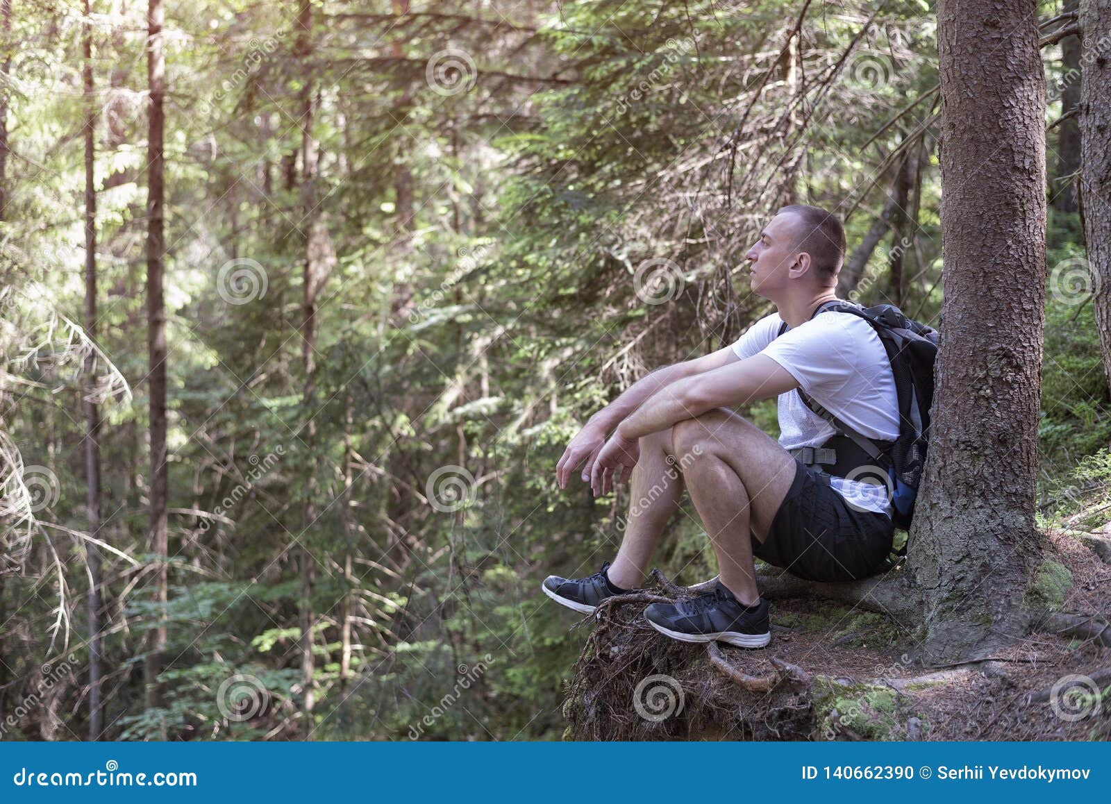 Man with a Backpack Sitting in a Coniferous Forest on a Cliff Stock ...