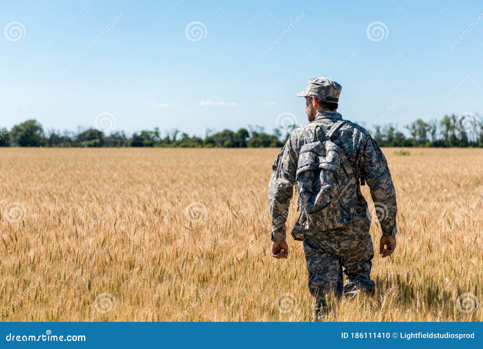 Man with Backpack Standing in Field with Wheat Stock Photo - Image of ...