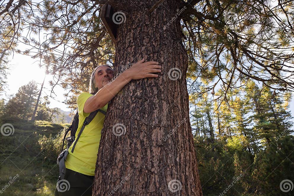 A Man with a Backpack Stands, Hugging a Tree, in the Backlit Sunlight ...