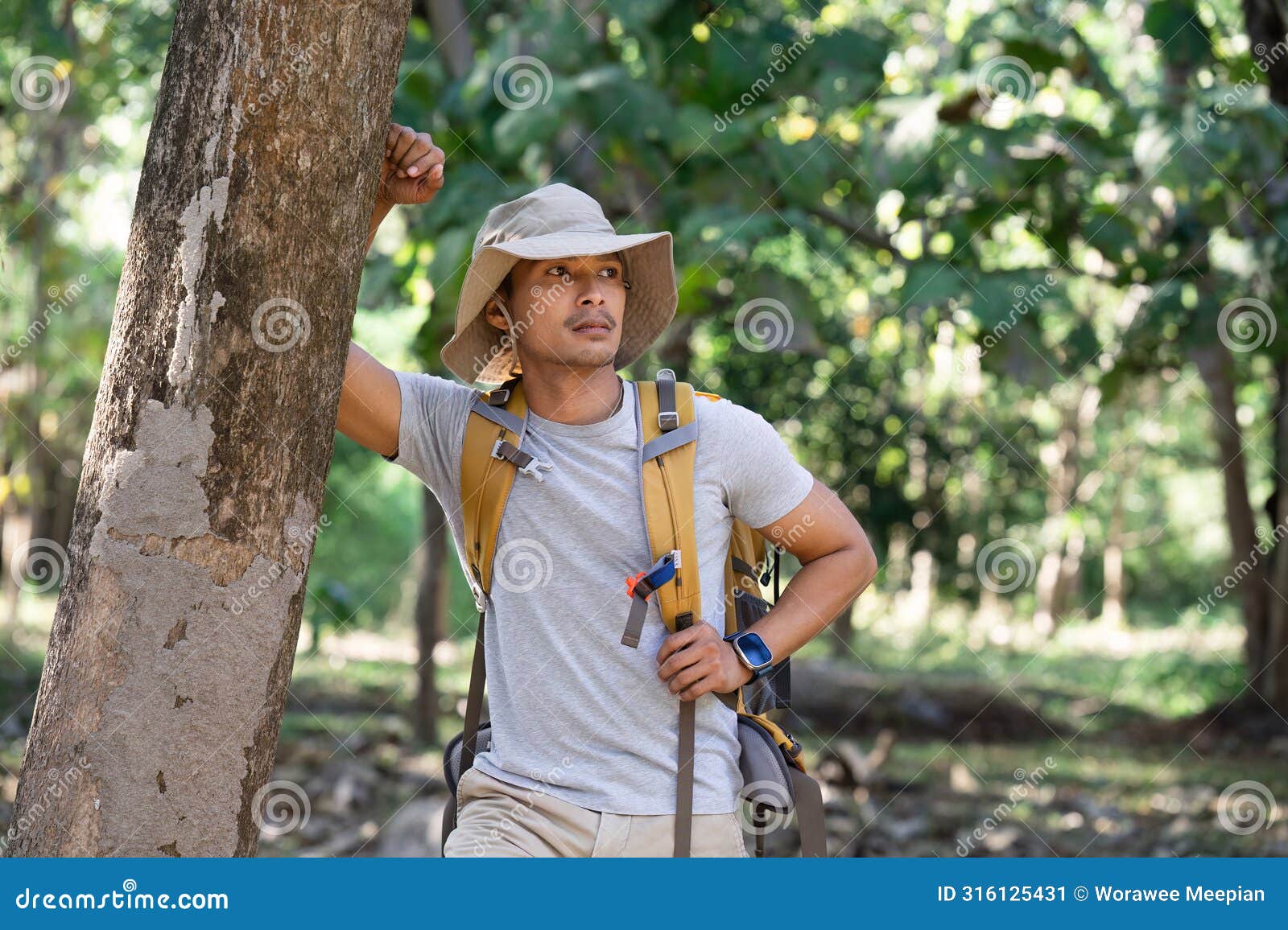 Man with Backpack Walk Along Forest Path while Hiking and Camping on ...