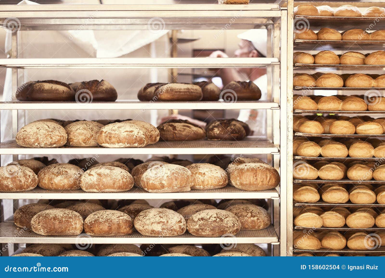 Man Baking Bread in the Bakery Stock Photo - Image of owner, board ...