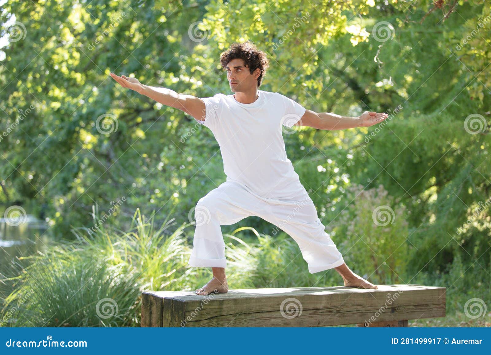 Man in Balanced Tai Chi Stance Stock Image - Image of bench, taichi ...